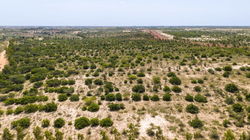 Modernizing the Gabonese railway: Setrag's major commitment - 5 ...